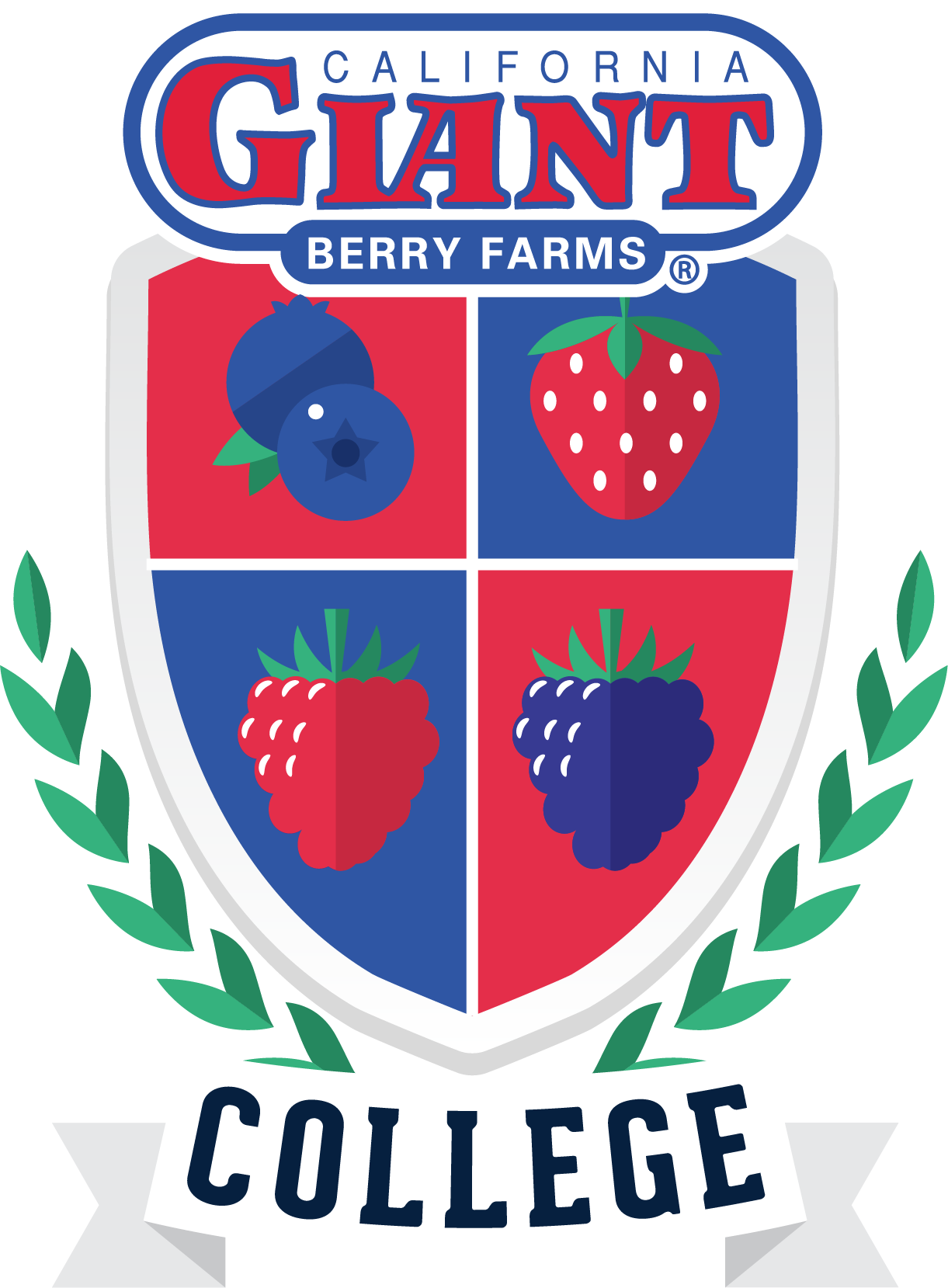 Cal Giant College | California Giant Berry Sweepstakes