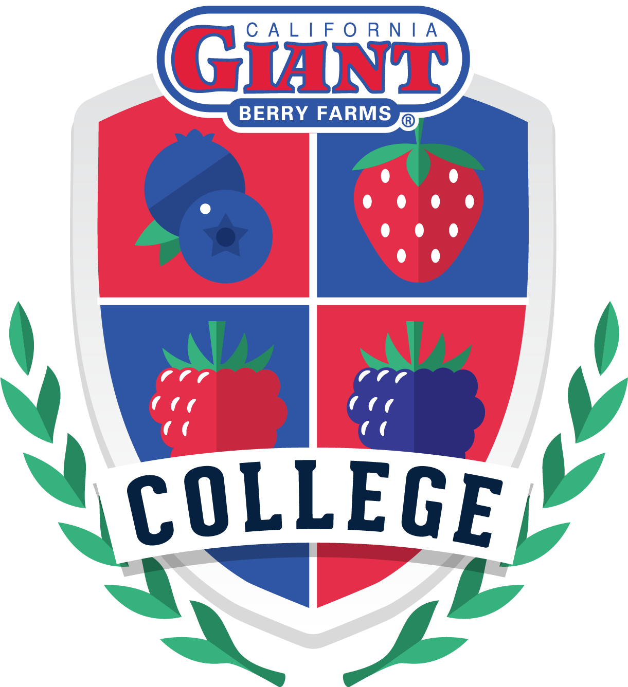 Cal Giant College | California Giant Berry Sweepstakes